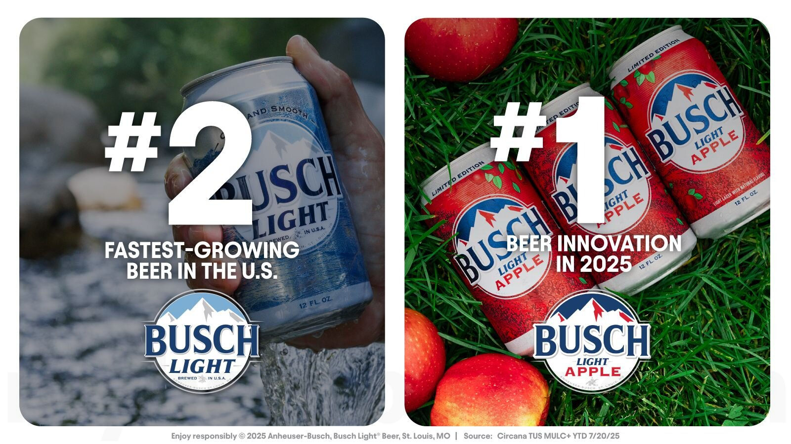 Busch Light The #2 Fastest Growing Beer In The U.S.
